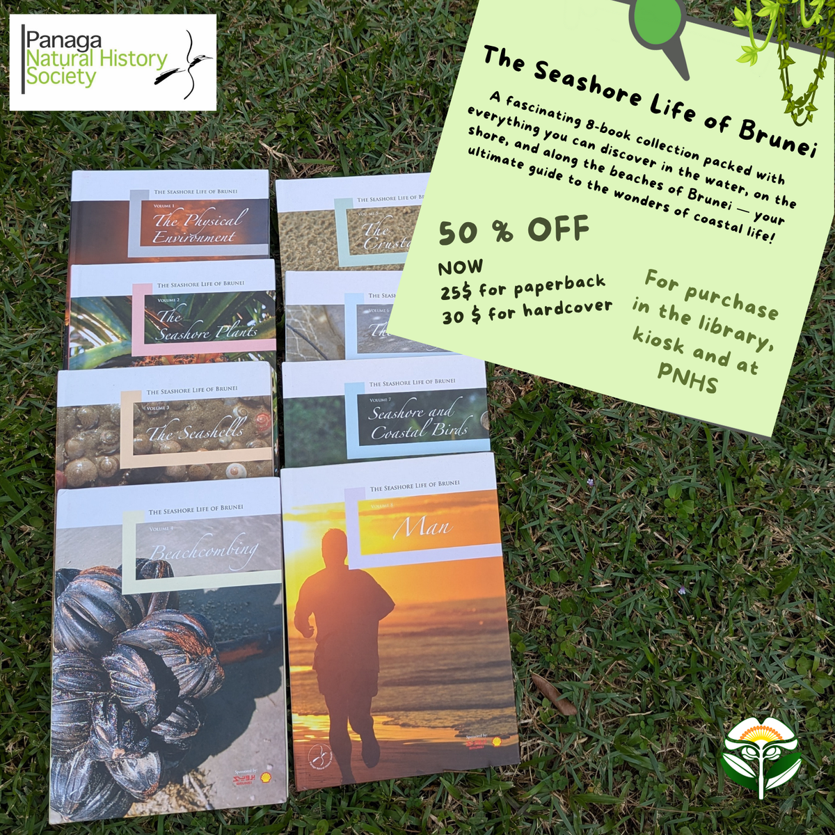 🌴 The Seashore Life of Brunei — 50% OFF! 🐚 – Panaga Club