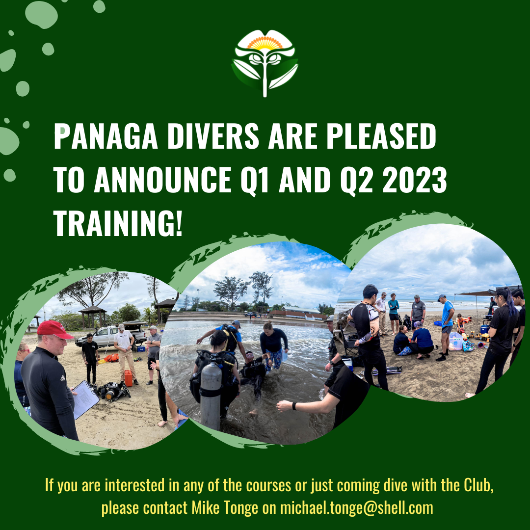 Dive Courses Q1 and Q2 2023 Training – Panaga Club