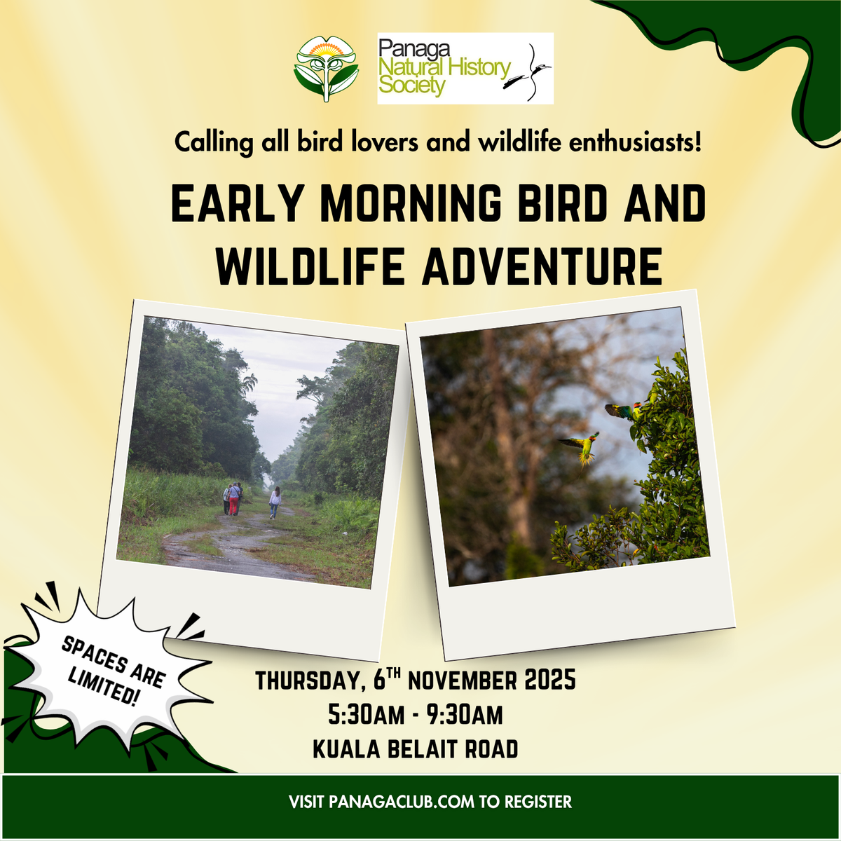 Early Morning Bird and Wildlife Adventure – Panaga Club