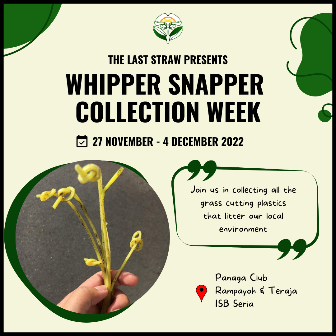 Whipper Snapper Collection Week – Panaga Club